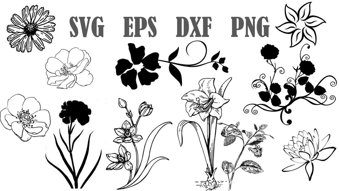 Flower Svg Png Dxf Eps Bundle, Hand Drawn Flower Svg, Vector Flower ...