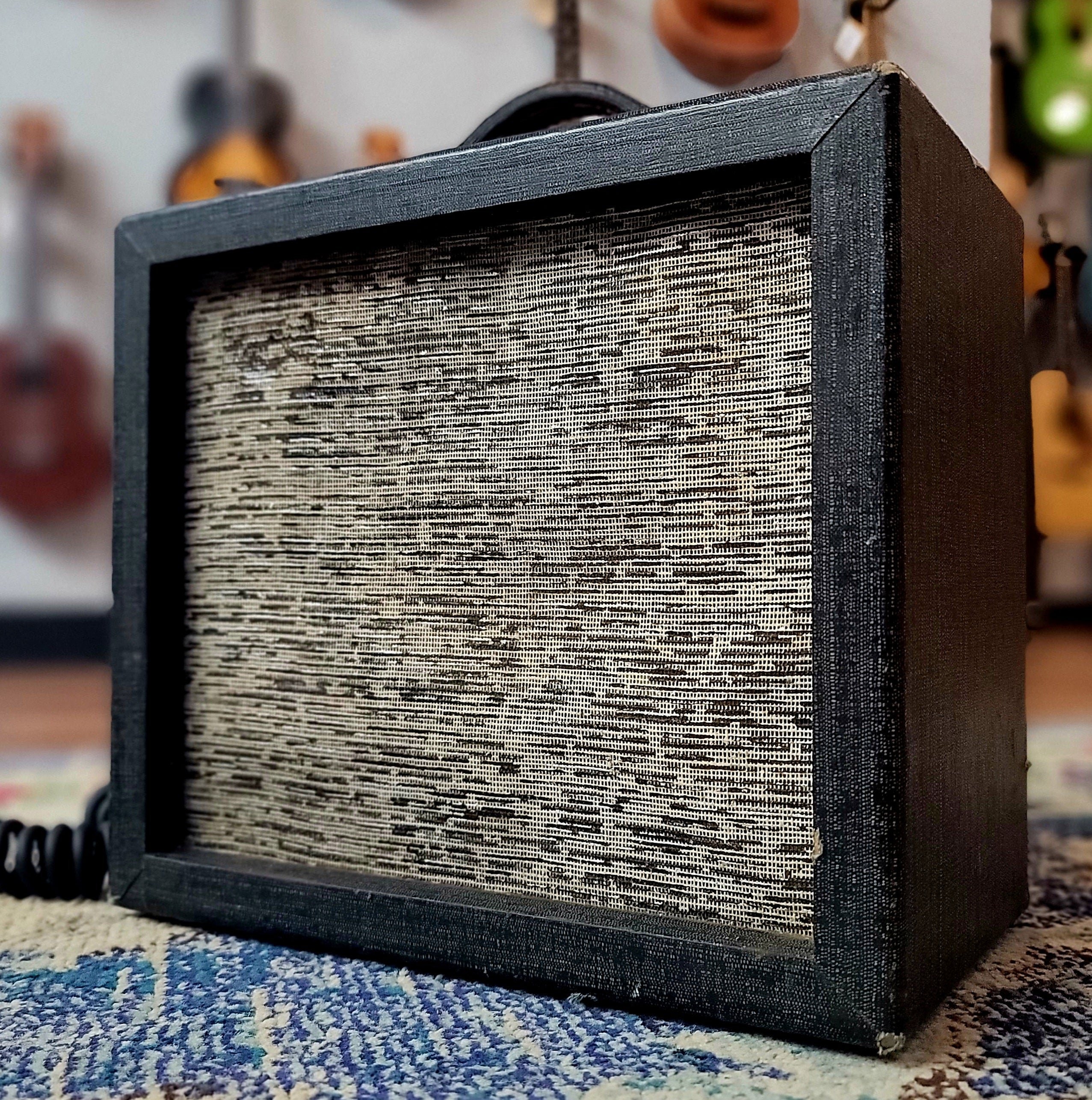 1963 Lectrolab - Sound Projects - R200B Tube Combo Amp - Etsy