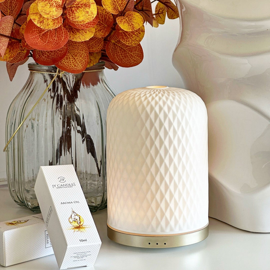 Porcelain Electric Diffuser, Gifts for All, Modern Home, Beautiful ...