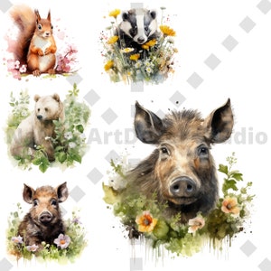 15pc Wonderful Animals With Flowers PNG Bundle, Watercolor Animal ...