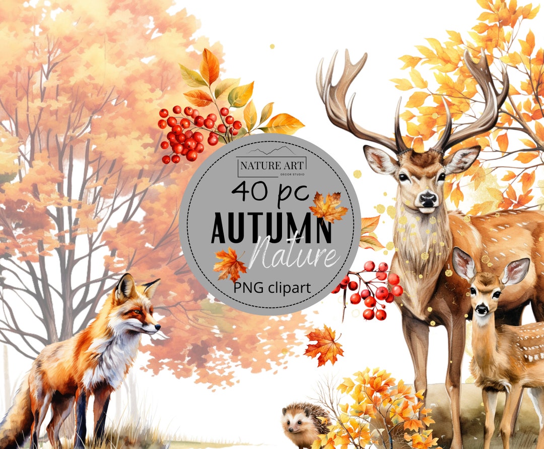 40pc Wonderful Autumn Nature PNG Bundle, Watercolor Animal Clipart ...
