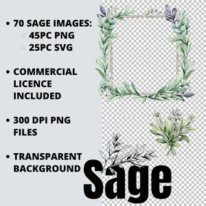 70pc Sage Mega PNG and SVG Bundle, Watercolor Herbal Clipart, Kitchen ...
