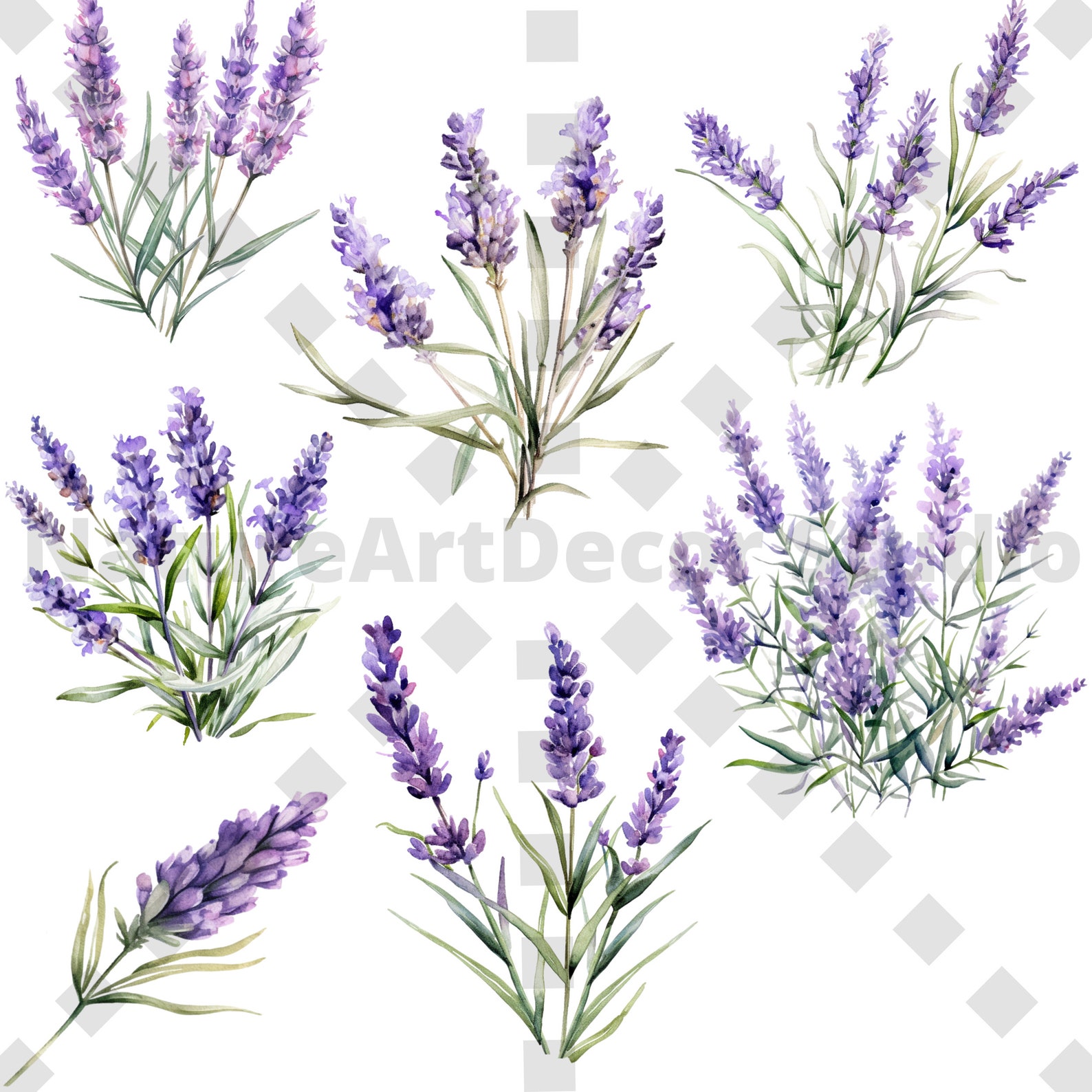 30pc Watercolor Lavender PNG Bundle, Water Color Floral Clipart ...
