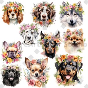 50pc Spring Floral Watercolor Dog PNG Bundle, Dog Lover's POD Allowed ...