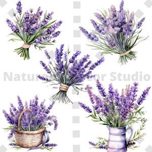 30pc Watercolor Lavender PNG Bundle, Water Color Floral Clipart ...