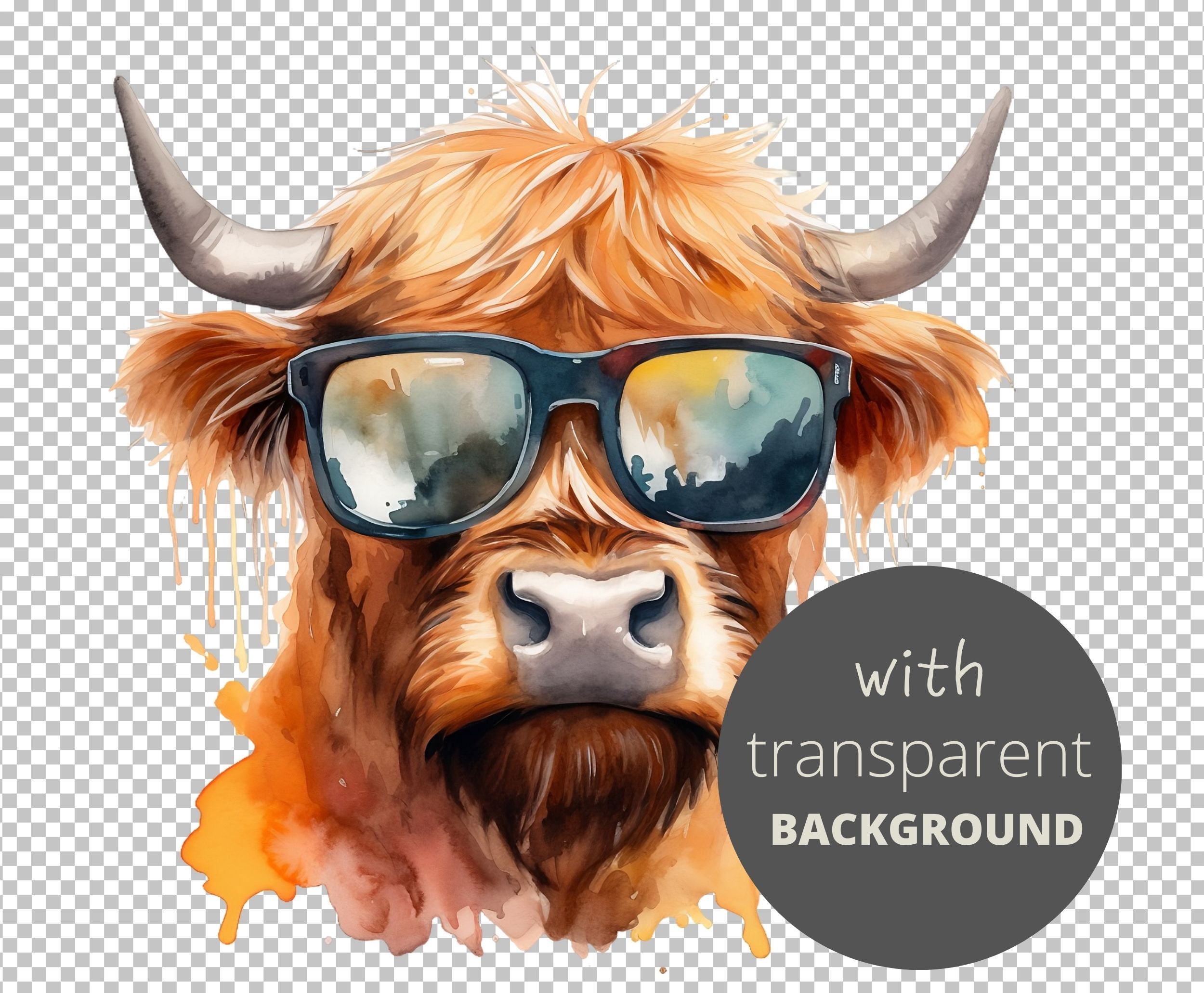 5 Highland Cow in Sunglasses Water Color Animal PNG Bundle - Etsy