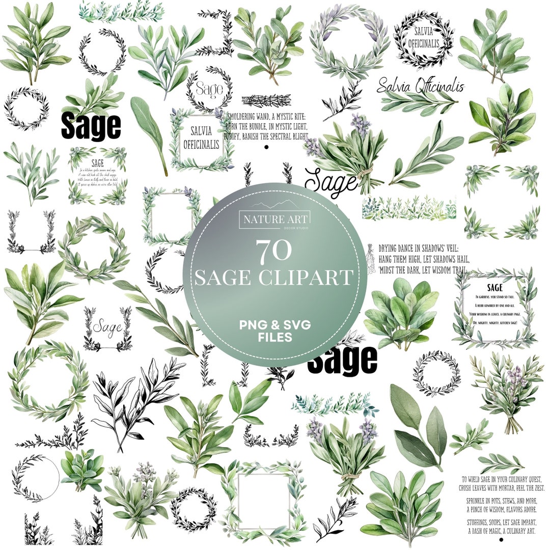 70pc Sage Mega PNG and SVG Bundle, Watercolor Herbal Clipart, Kitchen ...