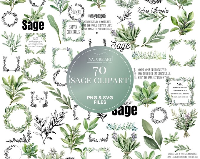 Sage Clipart, Sage PNG, Hand Drawn Sage for Candle Labels, Soap Labels ...