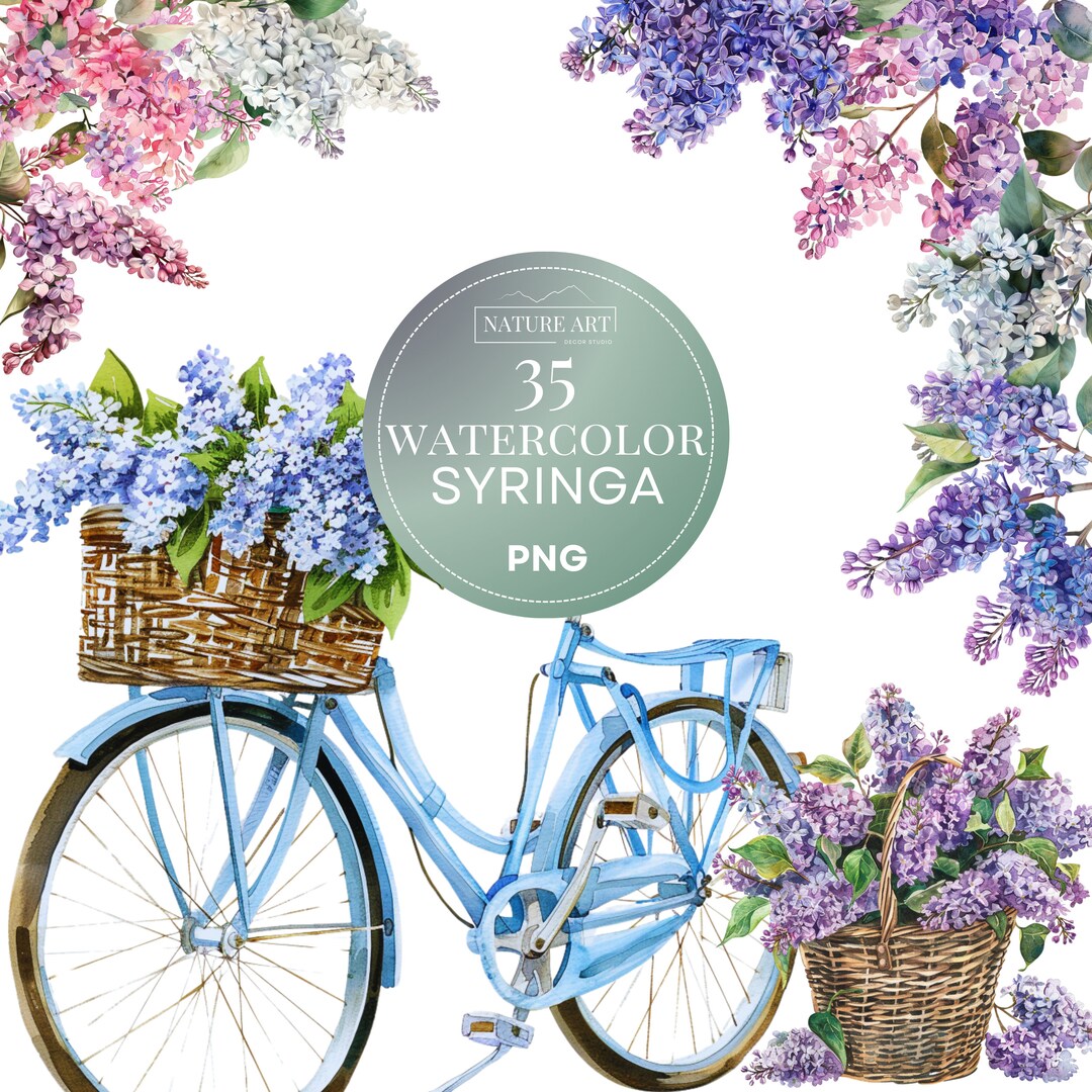 35pc Watercolor Syringa Flower PNG Bundle, Lilac for Mother's Day ...