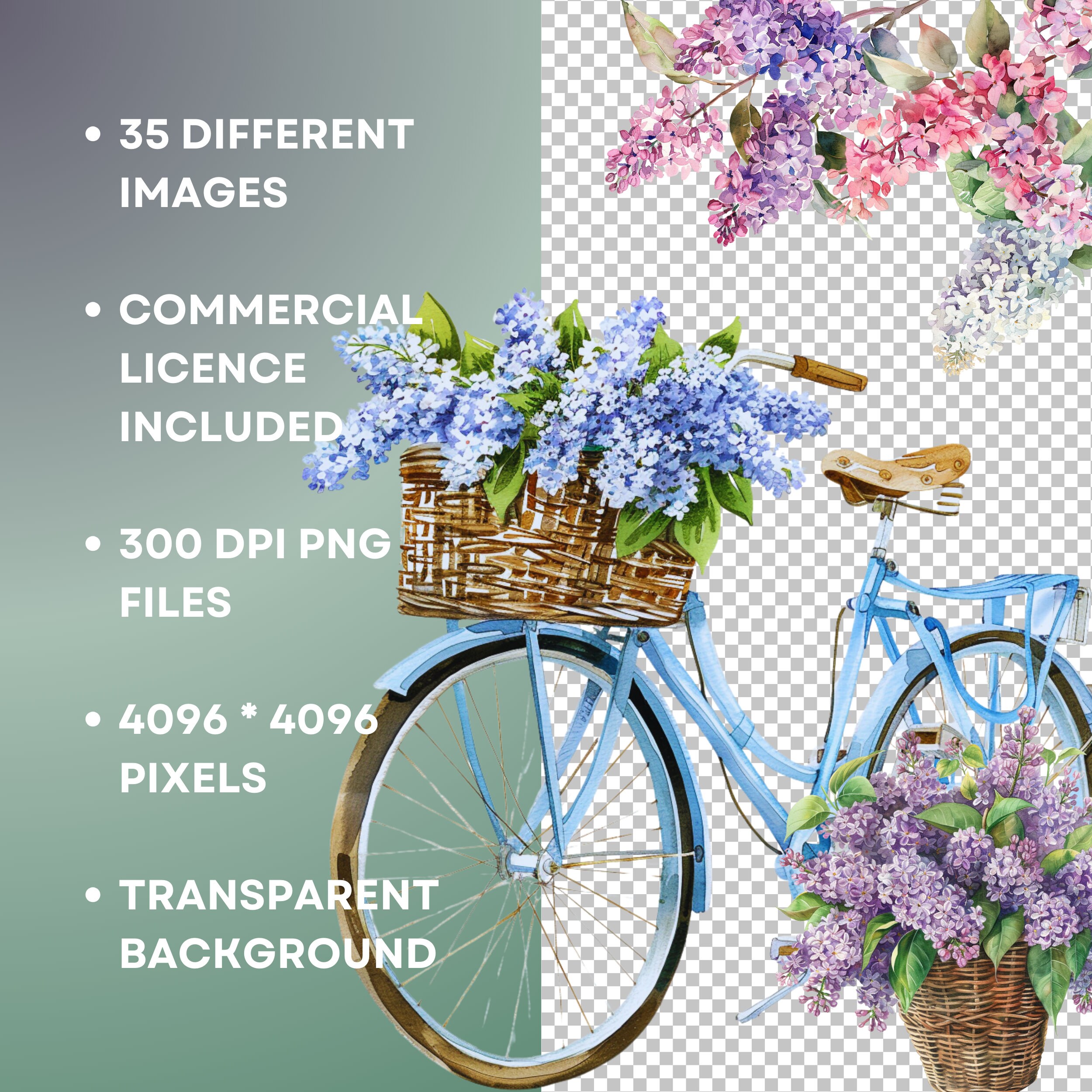 35pc Watercolor Syringa Flower PNG Bundle, Lilac for Mother's Day ...
