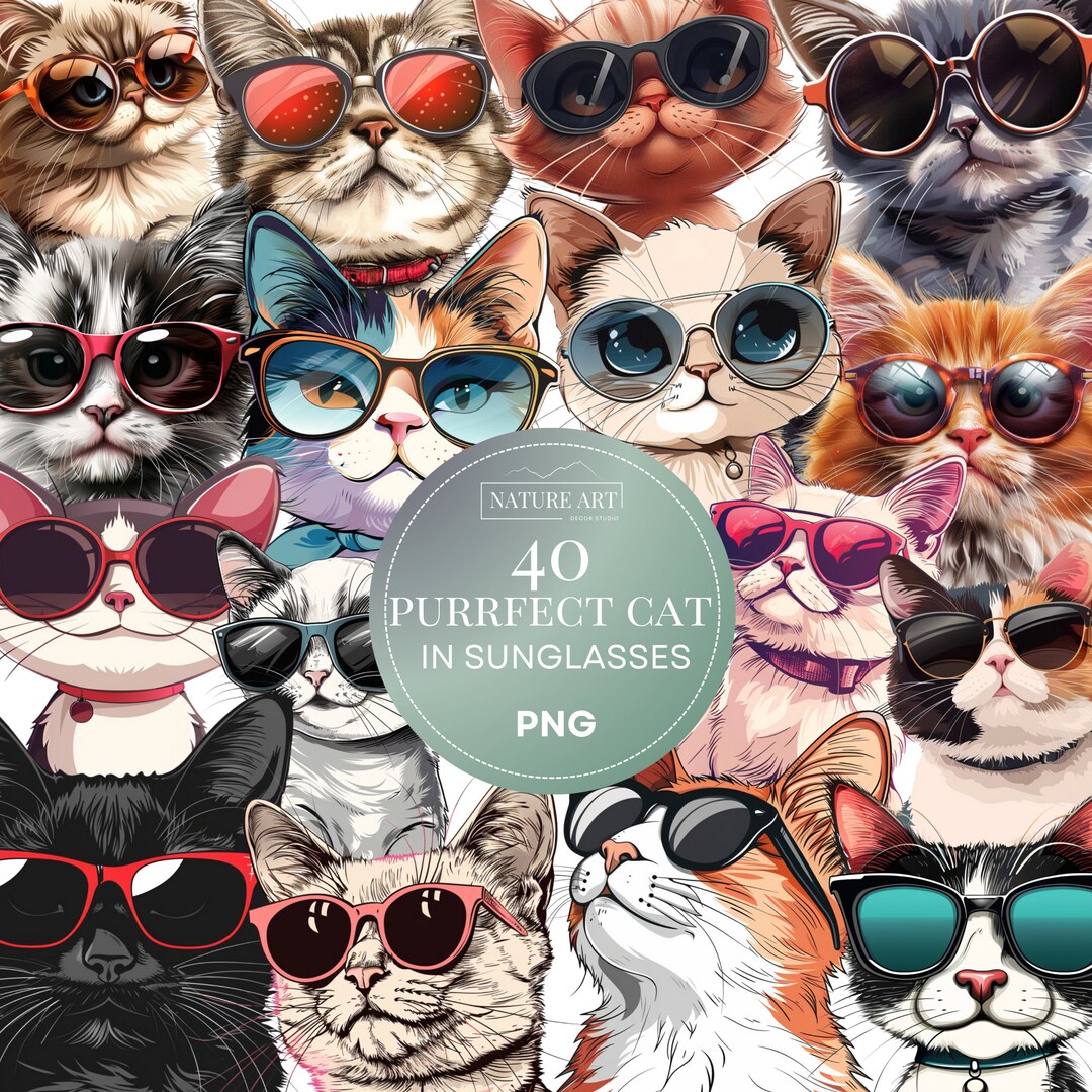 40pc Purrfect Cats PNG Bundle, Cute Kitty Animal POD Allowed Digital ...
