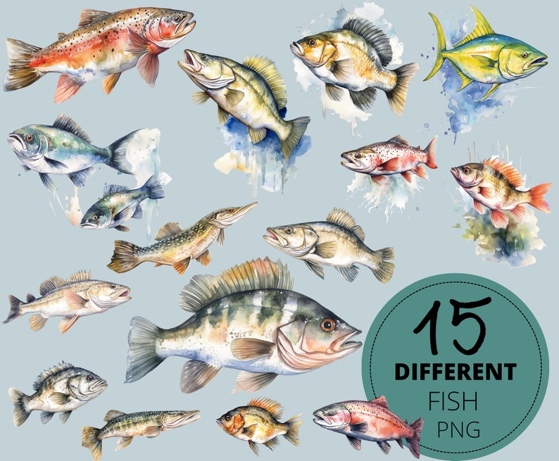 65pc Fishing PNG & SVG Clipart Bundle Watercolor Fish - Etsy