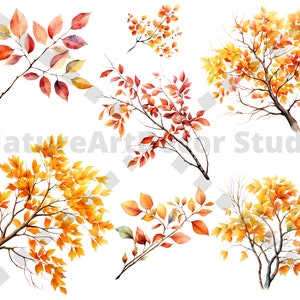 40pc Wonderful Autumn Nature PNG Bundle, Watercolor Animal Clipart ...