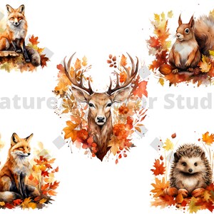 40pc Wonderful Autumn Nature PNG Bundle, Watercolor Animal Clipart ...
