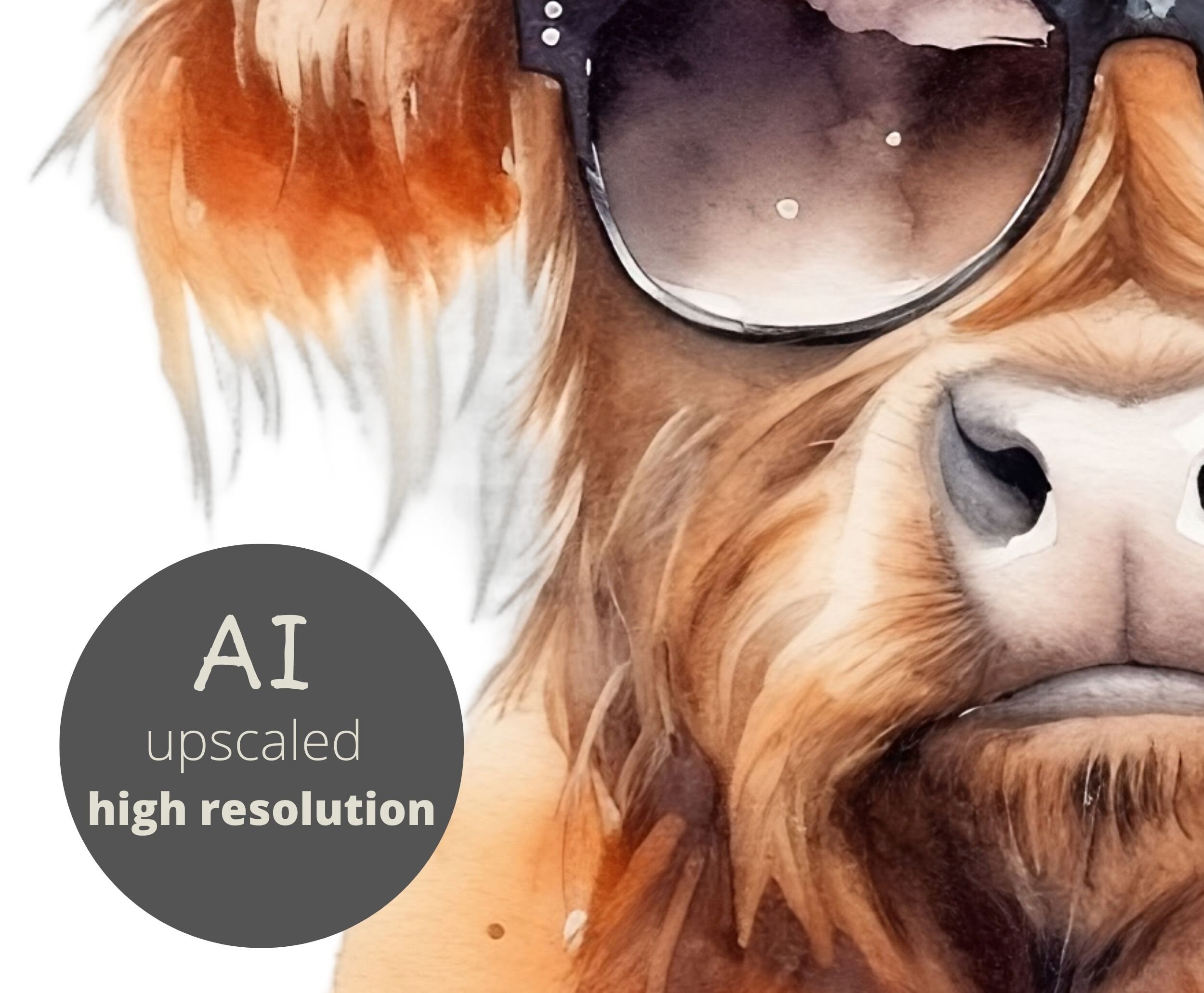 5 Highland Cow in Sunglasses Water Color Animal PNG Bundle - Etsy