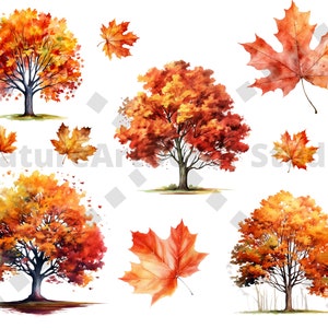 40pc Wonderful Autumn Nature PNG Bundle, Watercolor Animal Clipart ...