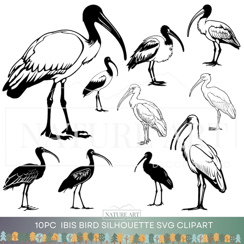 10pc Ibis Bird Doodle Clipart PNG & SVG Bundle, Cute Ibis POD Allowed ...