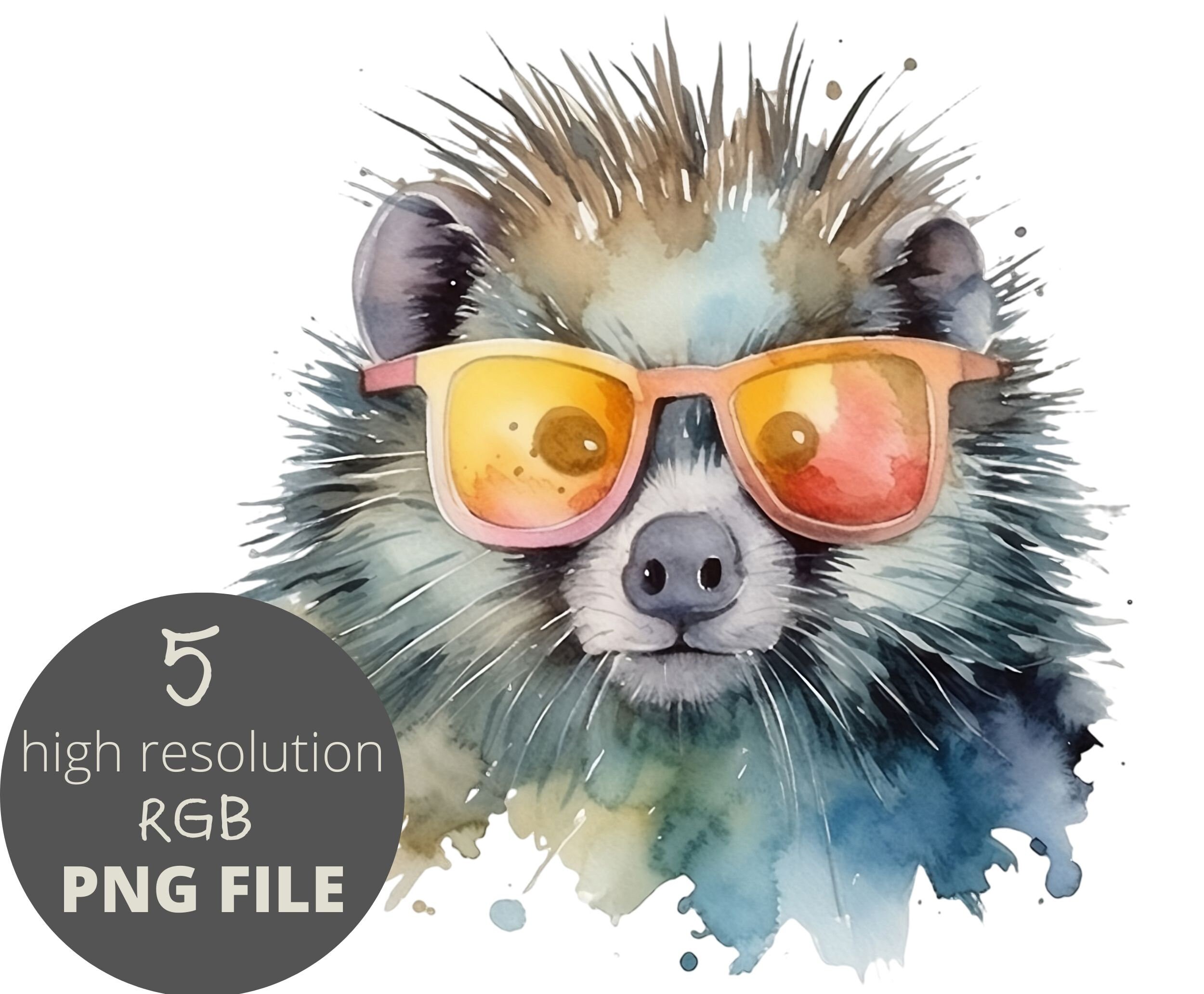 5 Hedgehog With Sunglasses Water Color Animal PNG Bundle - Etsy