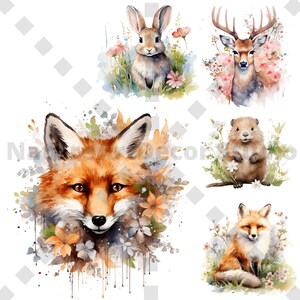 15pc Wonderful Animals With Flowers PNG Bundle, Watercolor Animal ...