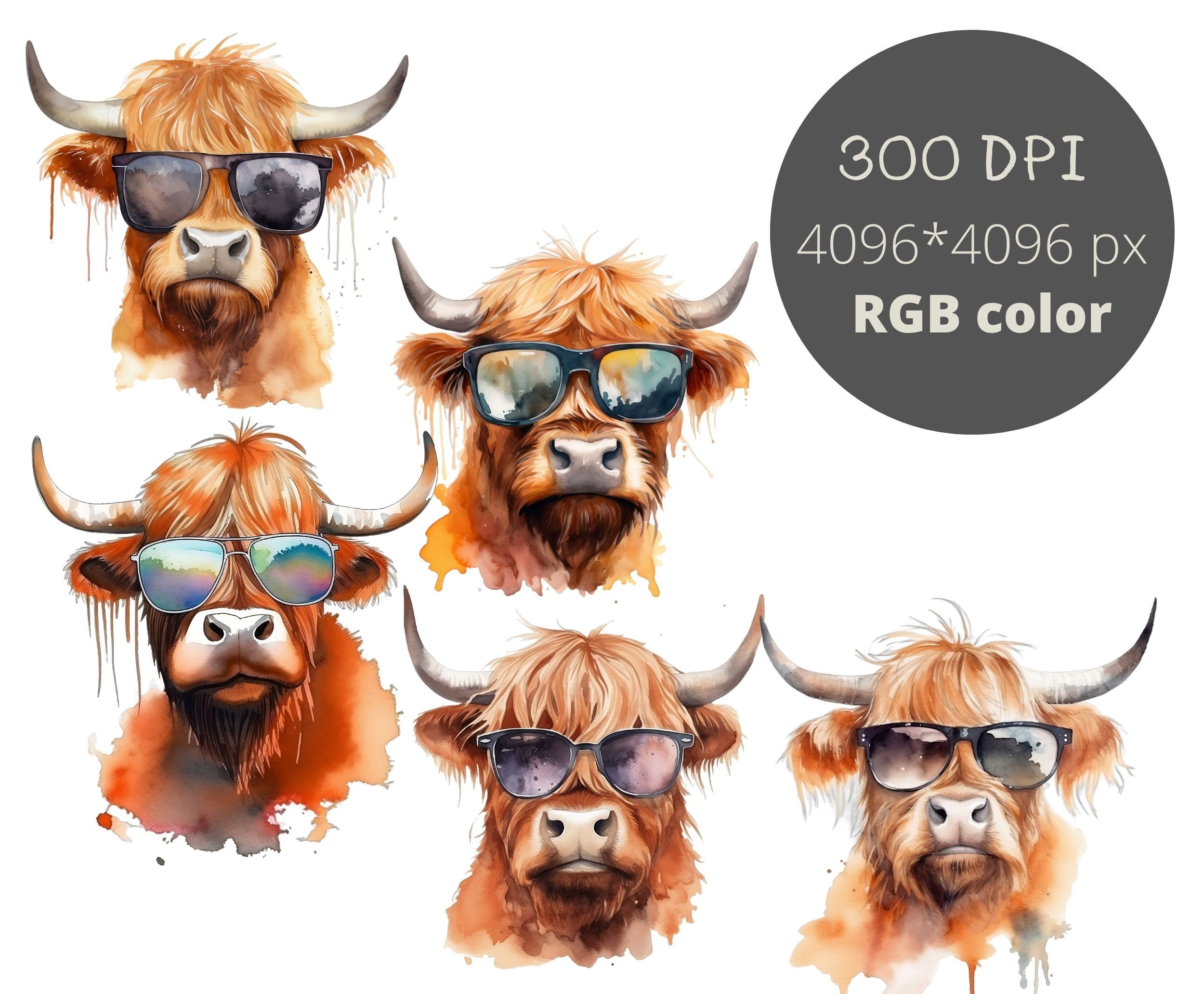 5 Highland Cow in Sunglasses Water Color Animal PNG Bundle - Etsy
