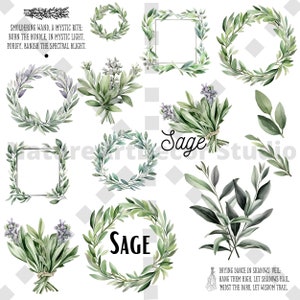 70pc Sage Mega PNG and SVG Bundle, Watercolor Herbal Clipart, Kitchen ...