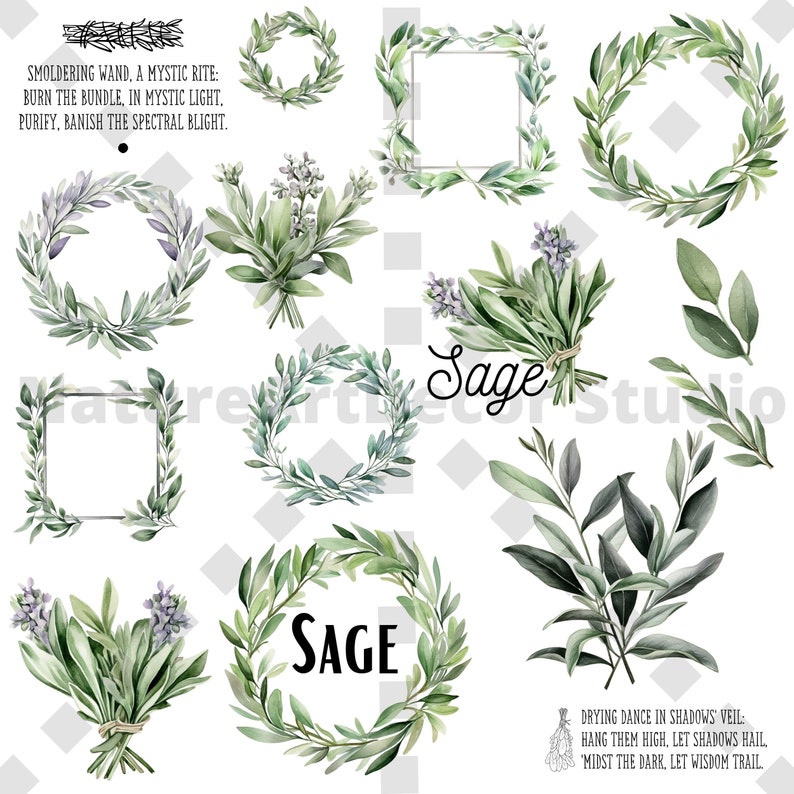 70pc Sage Mega PNG and SVG Bundle, Watercolor Herbal Clipart, Kitchen ...