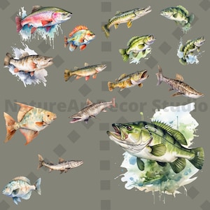 70pc Watercolor Fishing Vibe PNG Bundle, Watercolour Fish Clipart ...