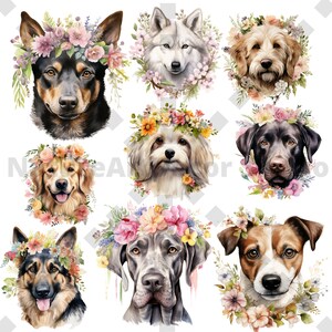 50pc Spring Floral Watercolor Dog PNG Bundle, Dog Lover's POD Allowed ...
