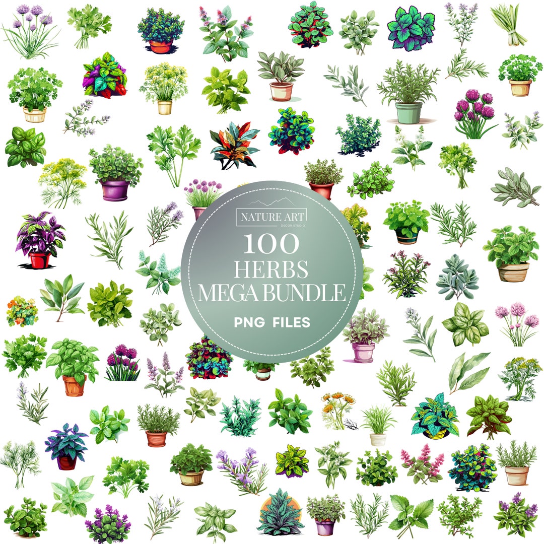 100pc Herbs Mega PNG Bundle, Watercolor Herbal Clipart, Colorful ...