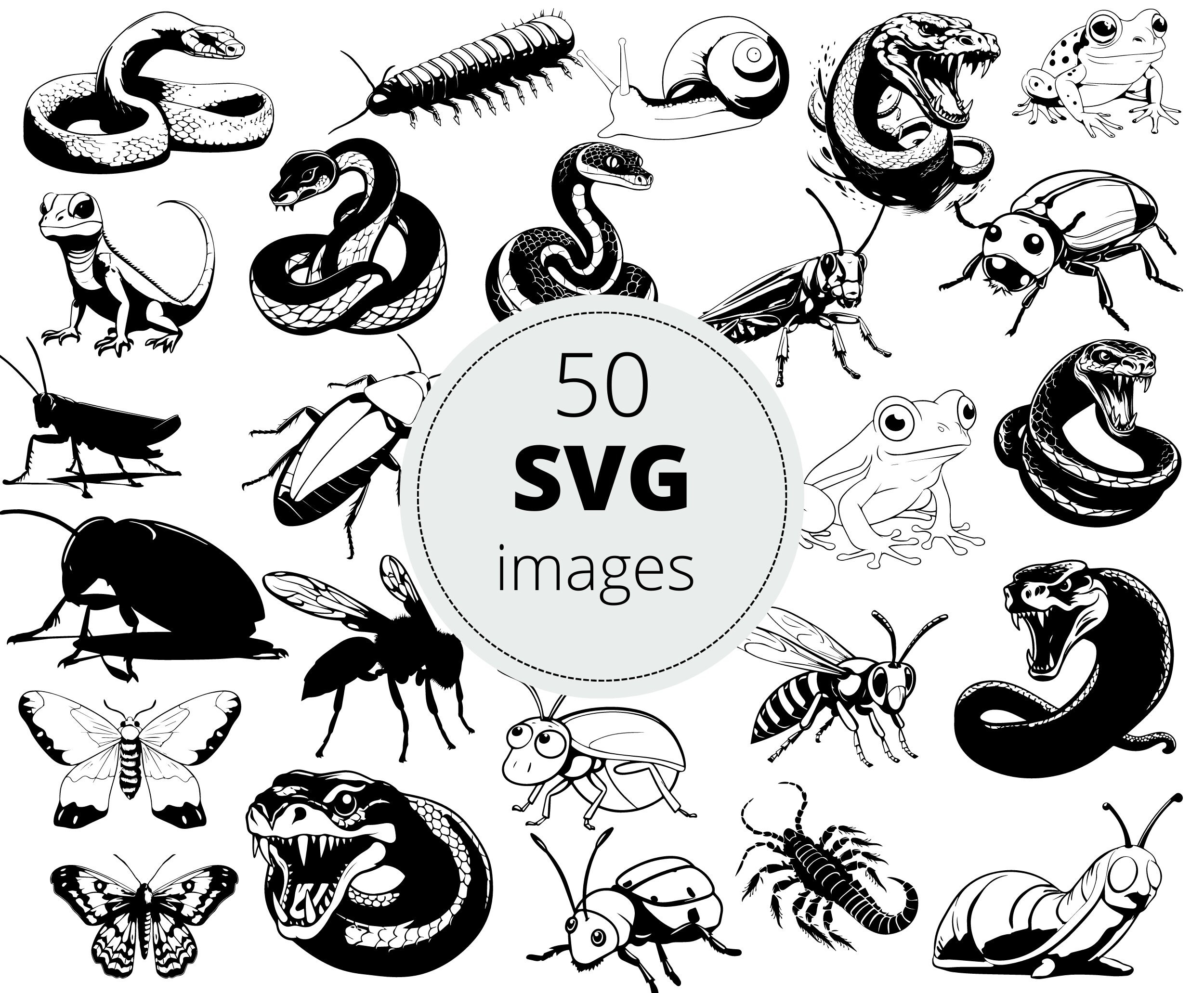 100pc Creepy Crawlies Image Bundle, Insect, Bug, Moth, Snake, Centipede ...