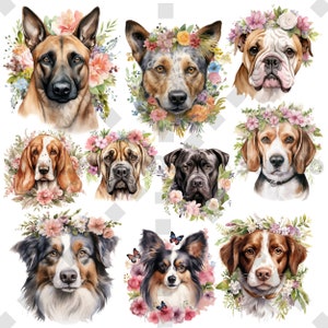 50pc Spring Floral Watercolor Dog PNG Bundle, Dog Lover's POD Allowed ...
