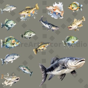 70pc Watercolor Fishing Vibe PNG Bundle, Watercolour Fish Clipart ...