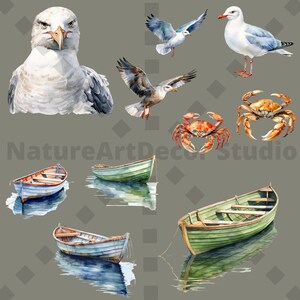 70pc Watercolor Fishing Vibe PNG Bundle, Watercolour Fish Clipart ...