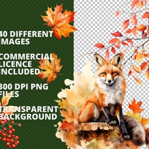 40pc Wonderful Autumn Nature PNG Bundle, Watercolor Animal Clipart ...