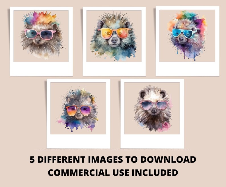5 Hedgehog With Sunglasses Water Color Animal PNG Bundle - Etsy