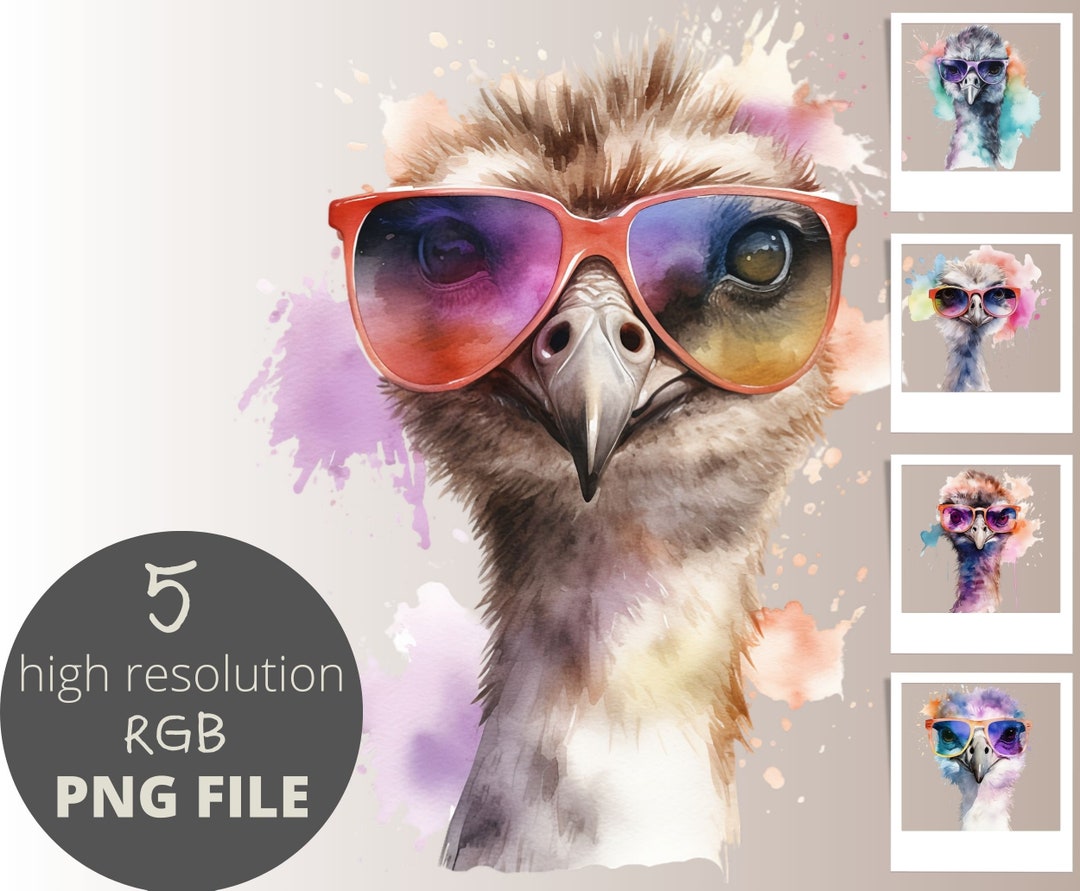 5 Ostrich Sunglasses Water Color Animal PNG Bundle, Safari Animal ...