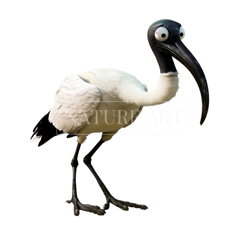 5pc Cartoon Australian White IBIS Bird Clipart PNG Bundle, Cute Ibis ...