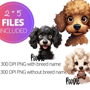 5pc Cartoon Poodle Head PNG Bundle, Cute Puppy POD Allowed Digital Art ...