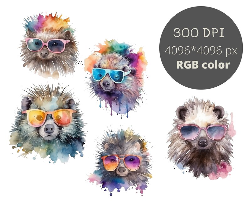 5 Hedgehog With Sunglasses Water Color Animal PNG Bundle - Etsy