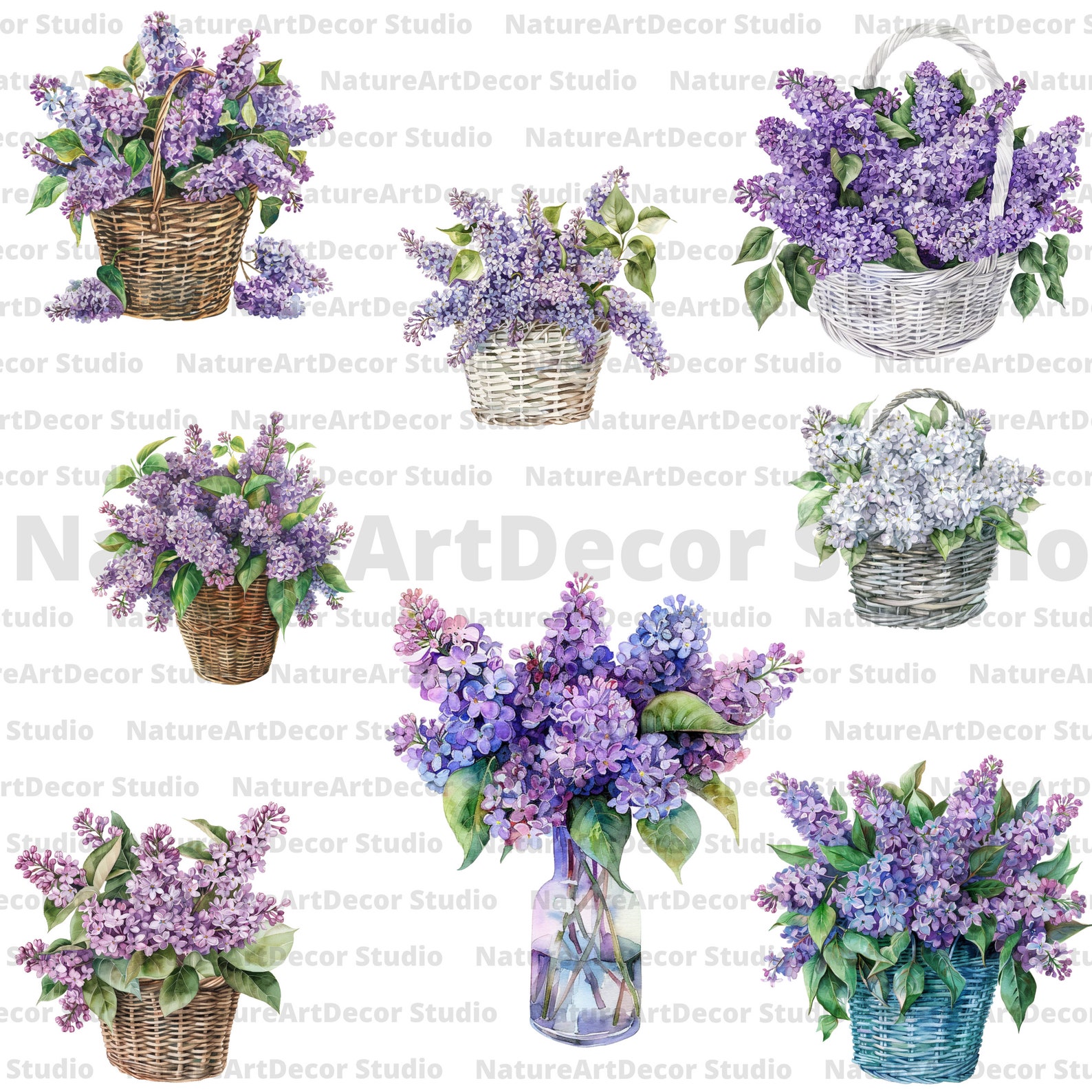 35pc Watercolor Syringa Flower PNG Bundle, Lilac for Mother's Day ...