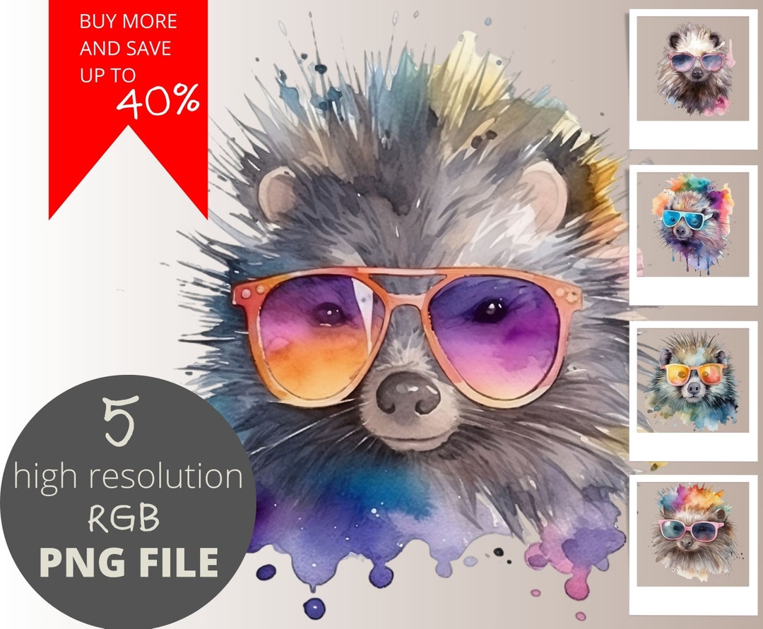 5 Hedgehog With Sunglasses Water Color Animal PNG Bundle, Animal ...