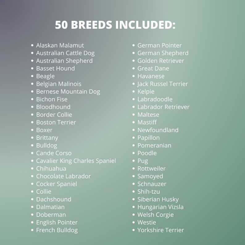 50pc Valentine's Day Watercolor Dog PNG Bundle, Dog Lover's POD Allowed ...