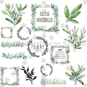 70pc Sage Mega PNG and SVG Bundle, Watercolor Herbal Clipart, Kitchen ...