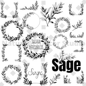 70pc Sage Mega PNG and SVG Bundle, Watercolor Herbal Clipart, Kitchen ...