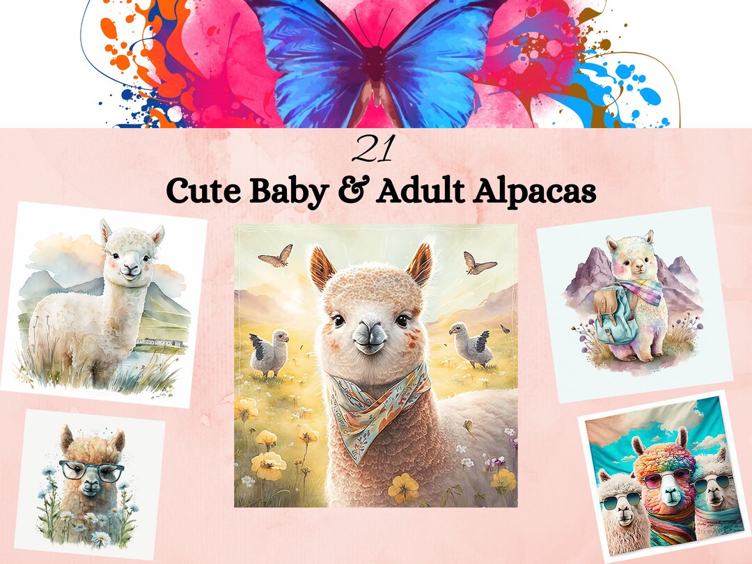 21 Cute Baby and Adult Alpacas Clipart Bundle, PNG, Full Commercial Use ...