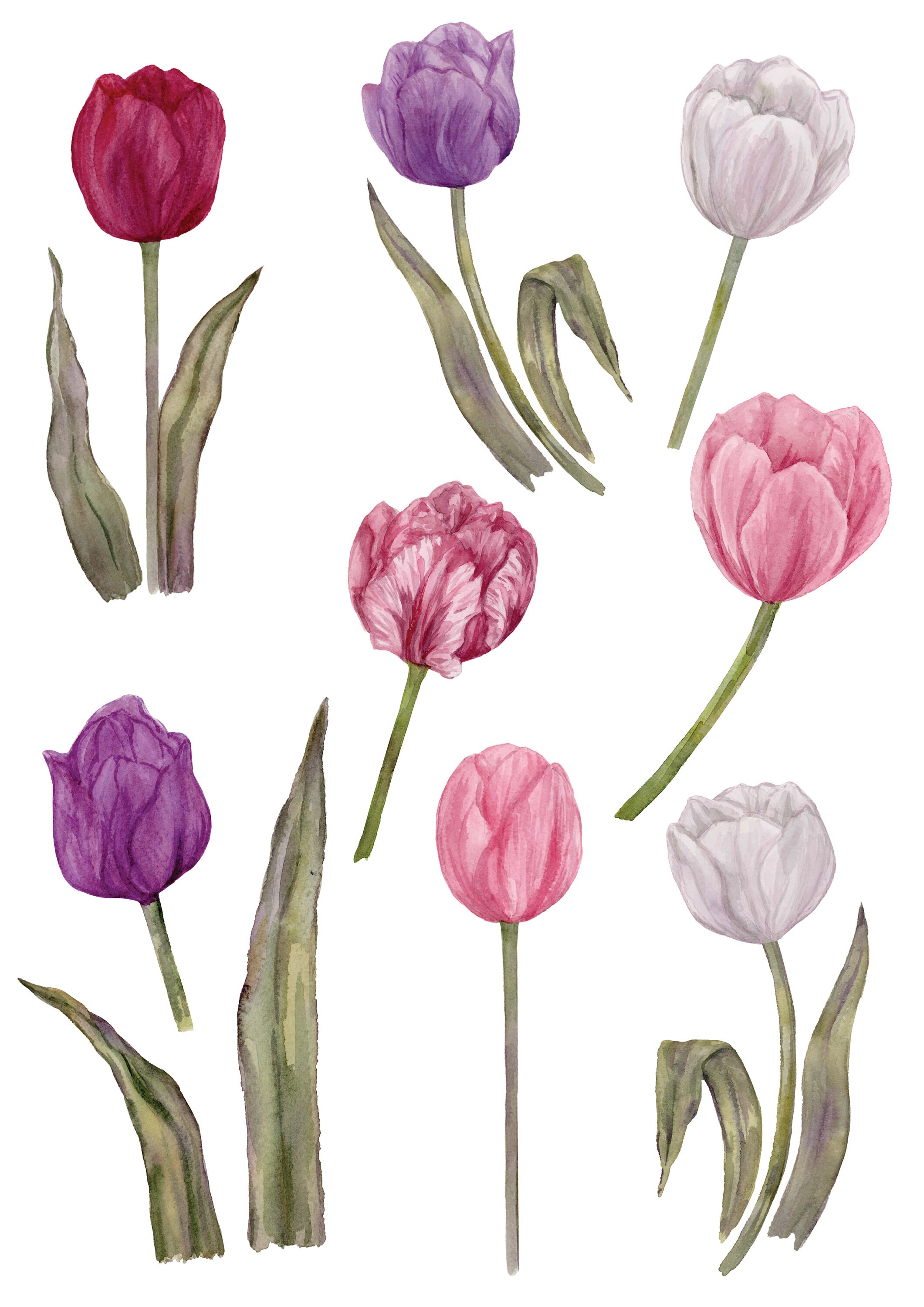 Watercolor Tulips Clipart, Easter PNG, Spring Flowers Clipart, Flowers ...