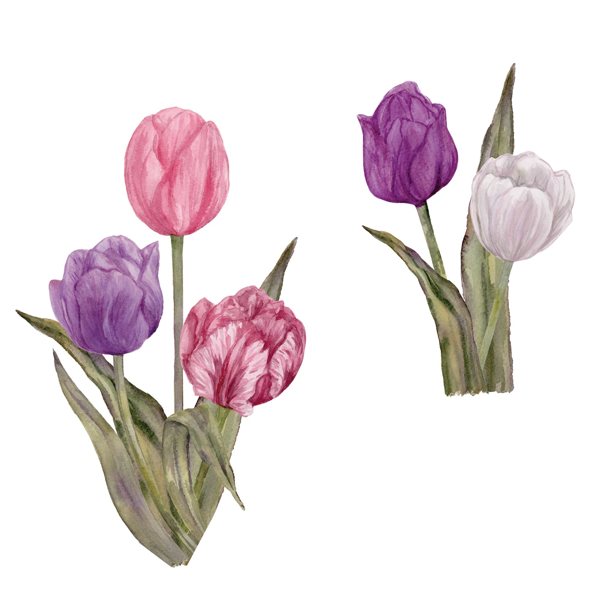 Watercolor Tulips Clipart, Easter PNG, Spring Flowers Clipart, Flowers ...