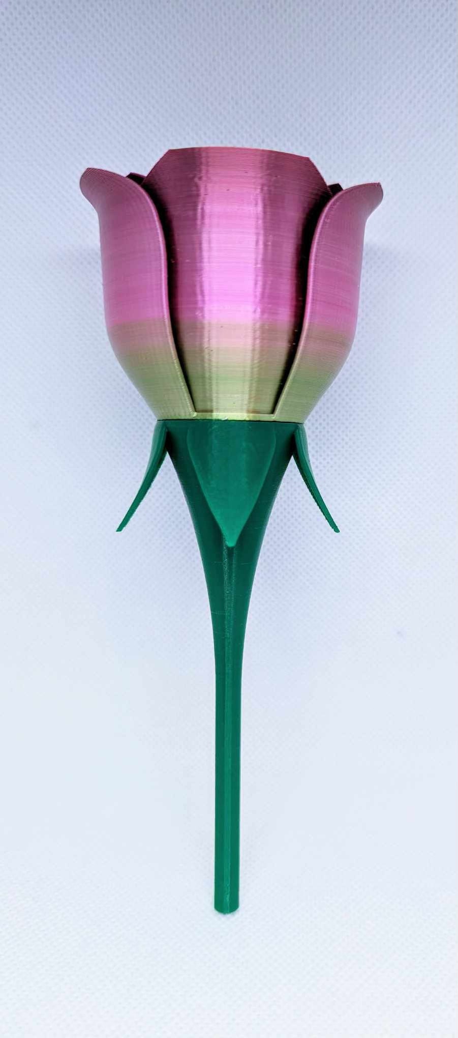 Colourful 3D Printed Rose With Stem - Etsy