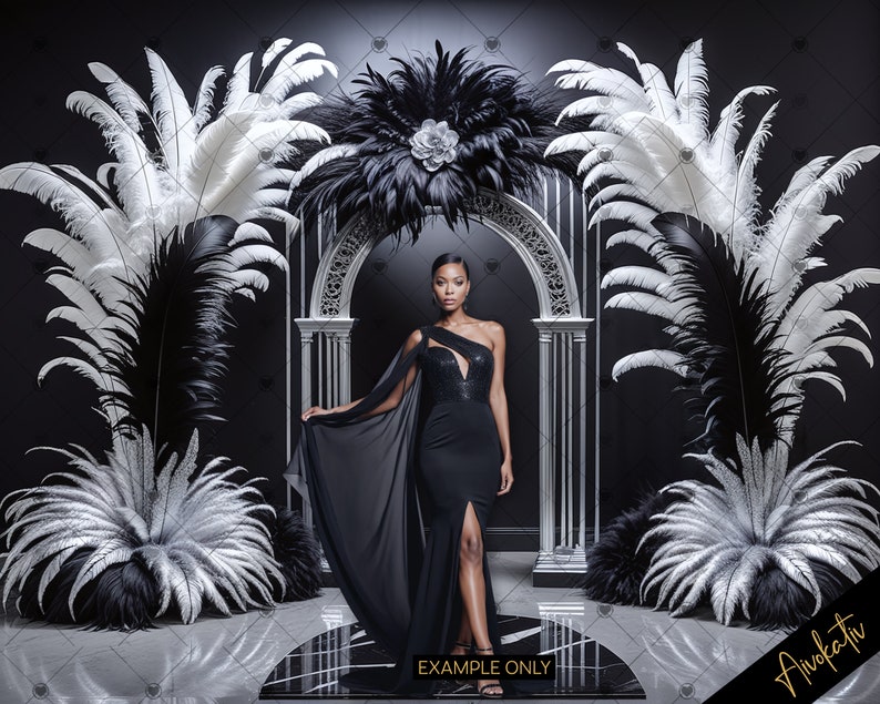 Elegant Black & Silver Digital Photography Backdrop, Gatsby Style ...