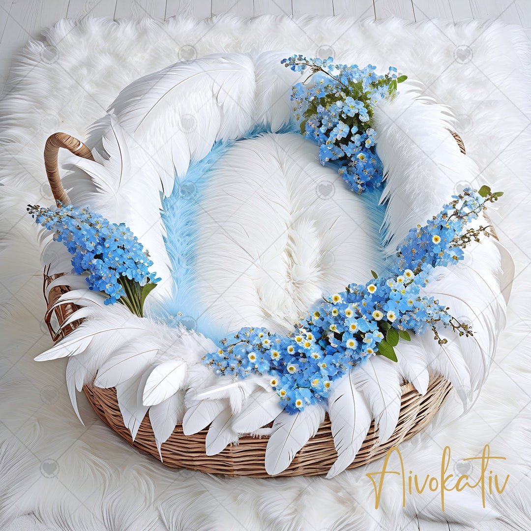 Beautiful Blue and White Baby Digital Photography Backdrop, Digital ...